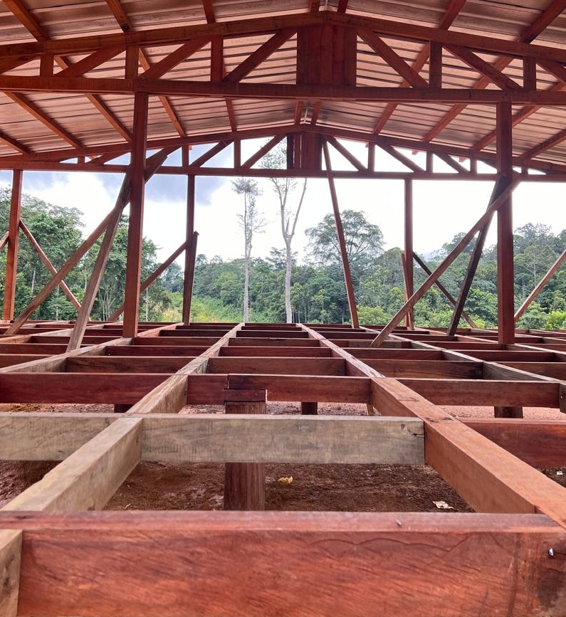Press release: the "Andoung project", Rougier Gabon's low-carbon ...