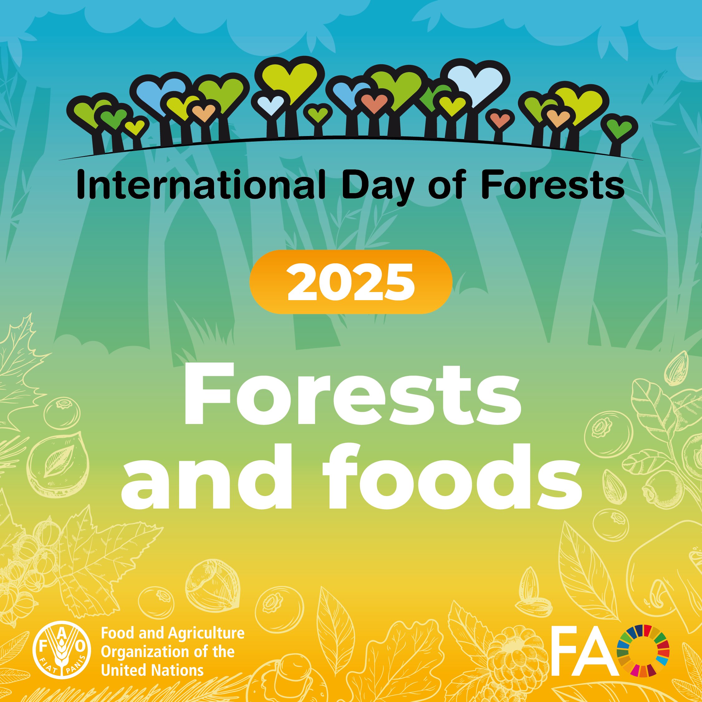 Forest-themed photo competition opens to mark International Forest Day ...