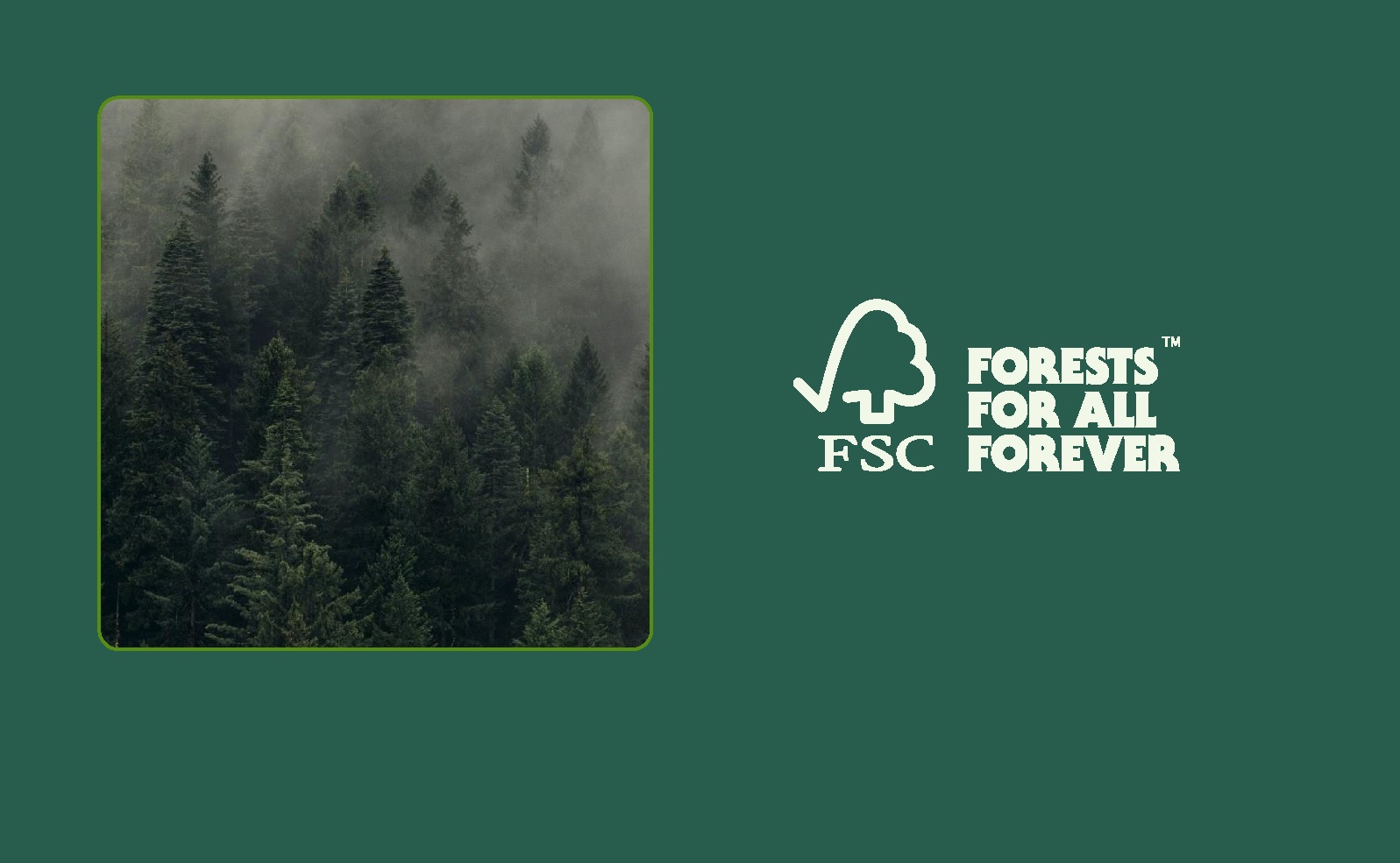 FSC opens the first public consultation for the revised Ecosystem ...