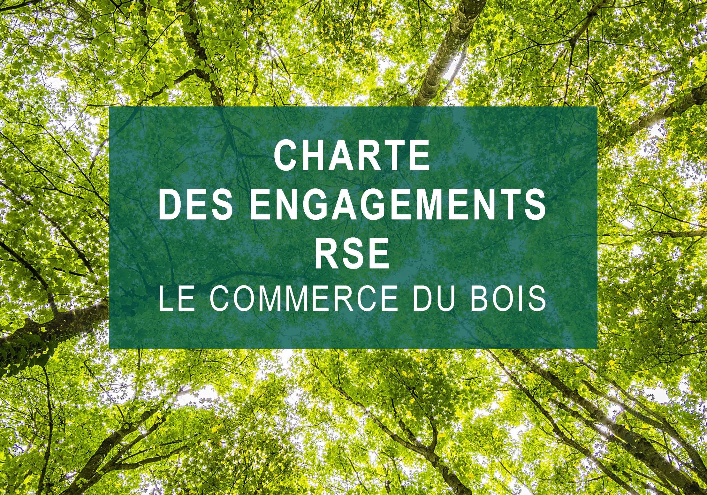 Le Commerce du Bois présente sa nouvelle Charte d’engagements RSE | ATIBT