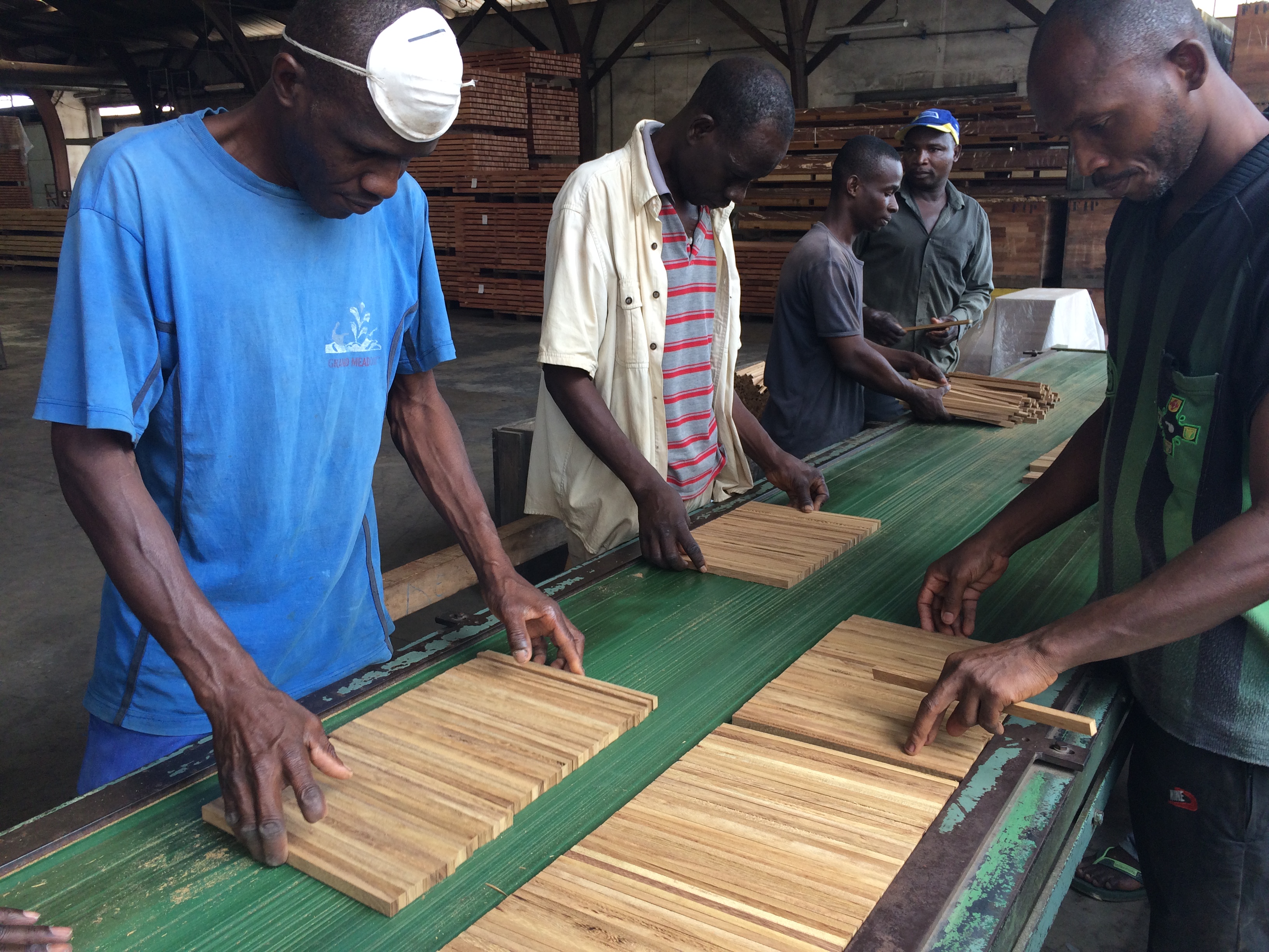 The 1st edition of the Forest Conservation Job Day organized on May 6 ...