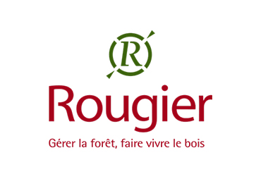 Rougier teams up with airship carrier to transport wood by air without ...