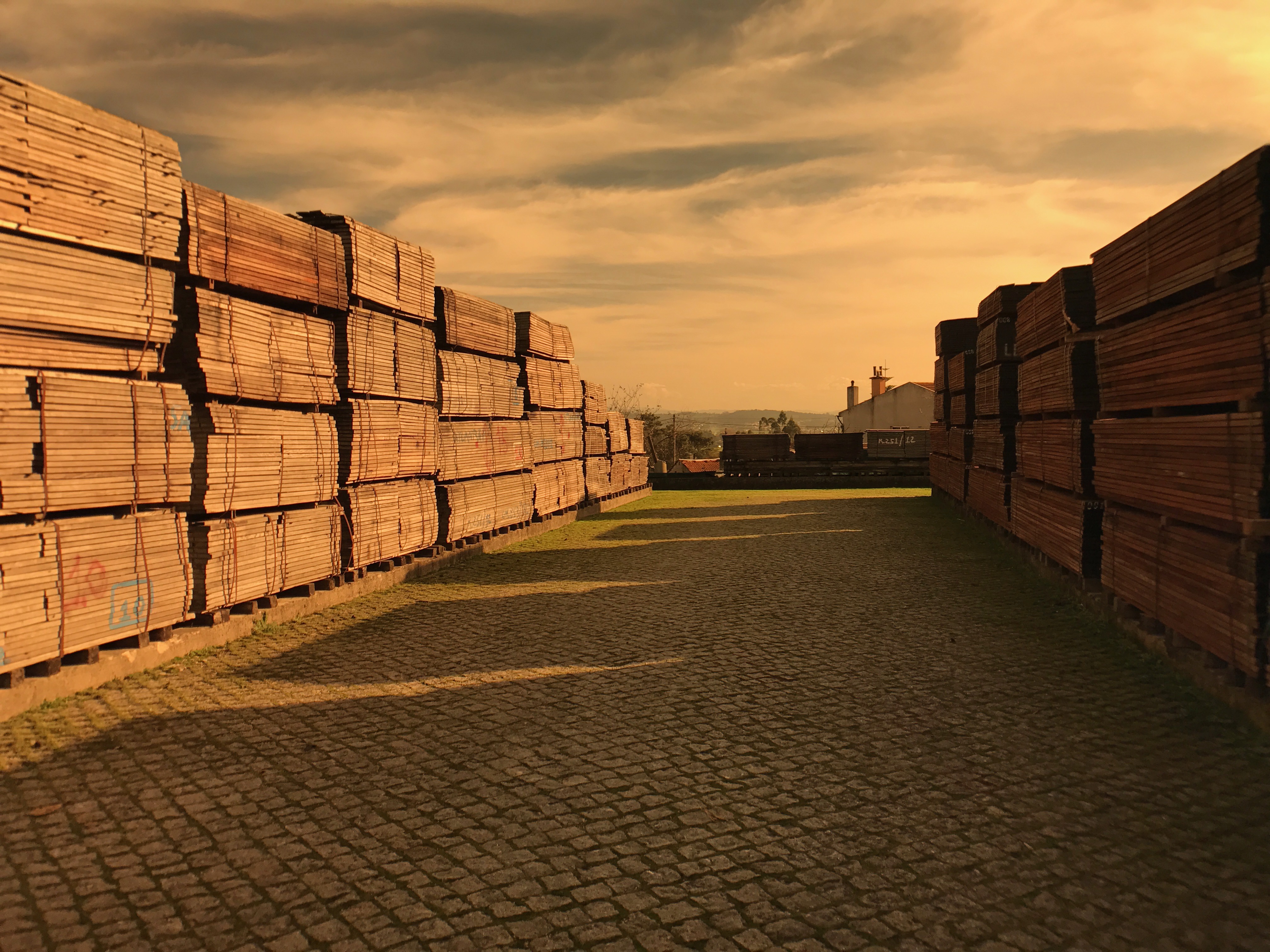 Bienvenue à notre nouvel adhérent : Lumber (Portugal) | ATIBT