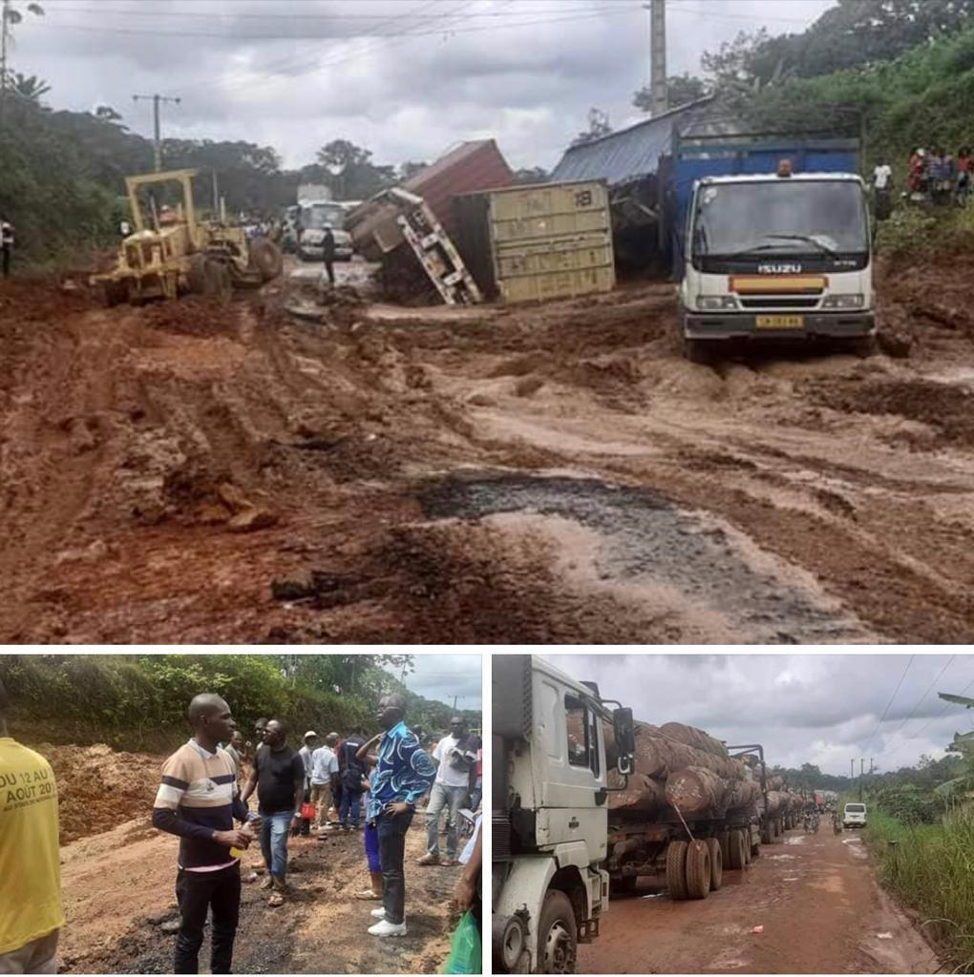 Wood… a logistical material | ATIBT