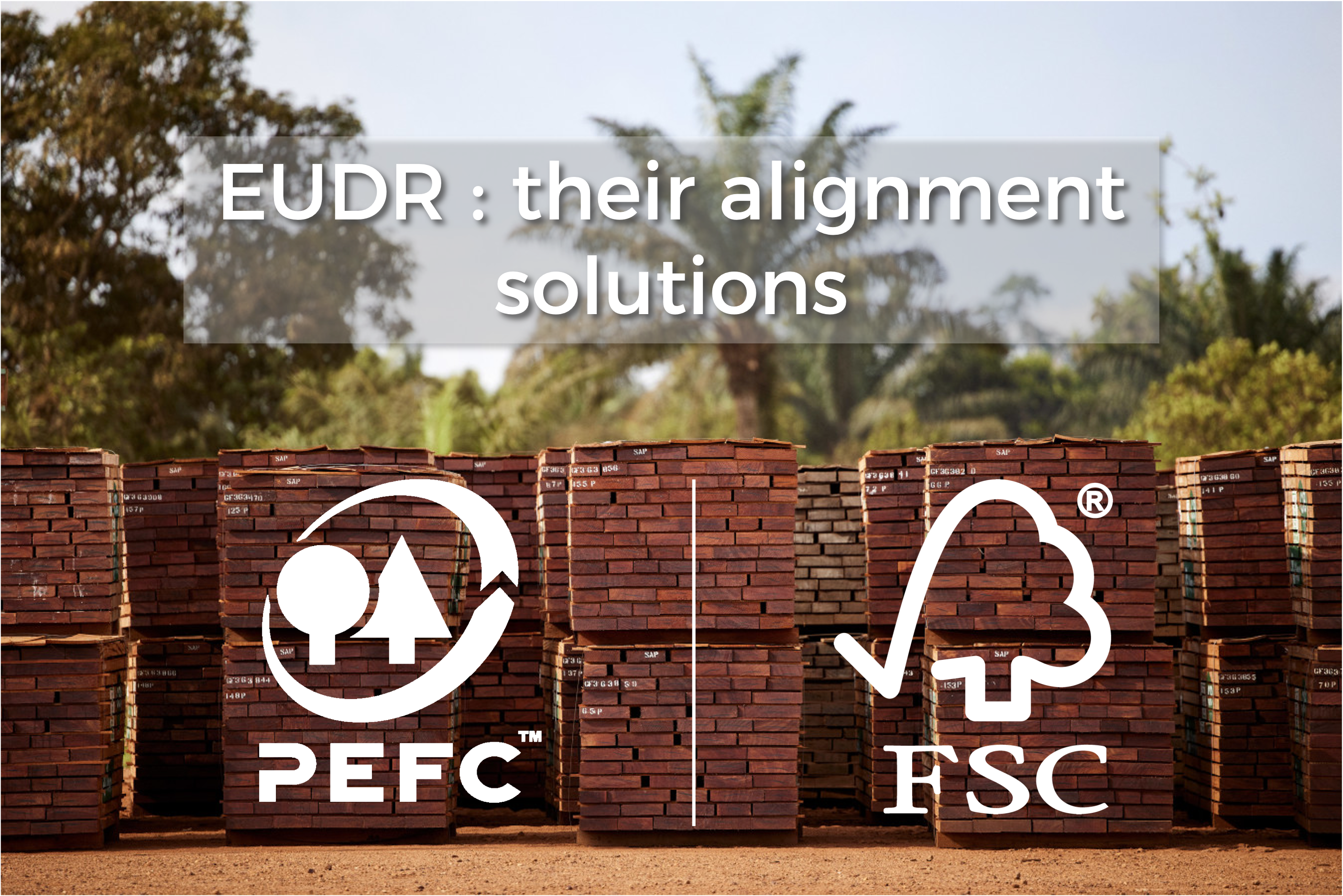 EUDR: FSC and PEFC certifications present their alignment solutions | ATIBT