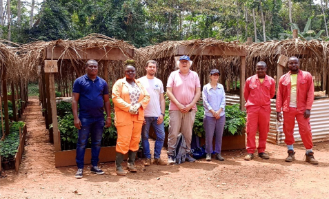 Field visits in the framework of the UFA-Reforest project | ATIBT