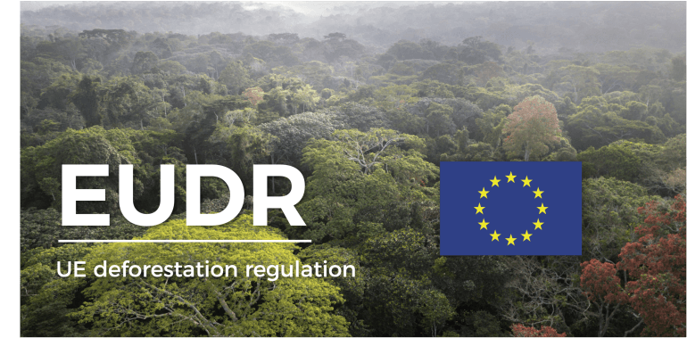 Last update : EUDR - Commission publishes first country benchmarking ...