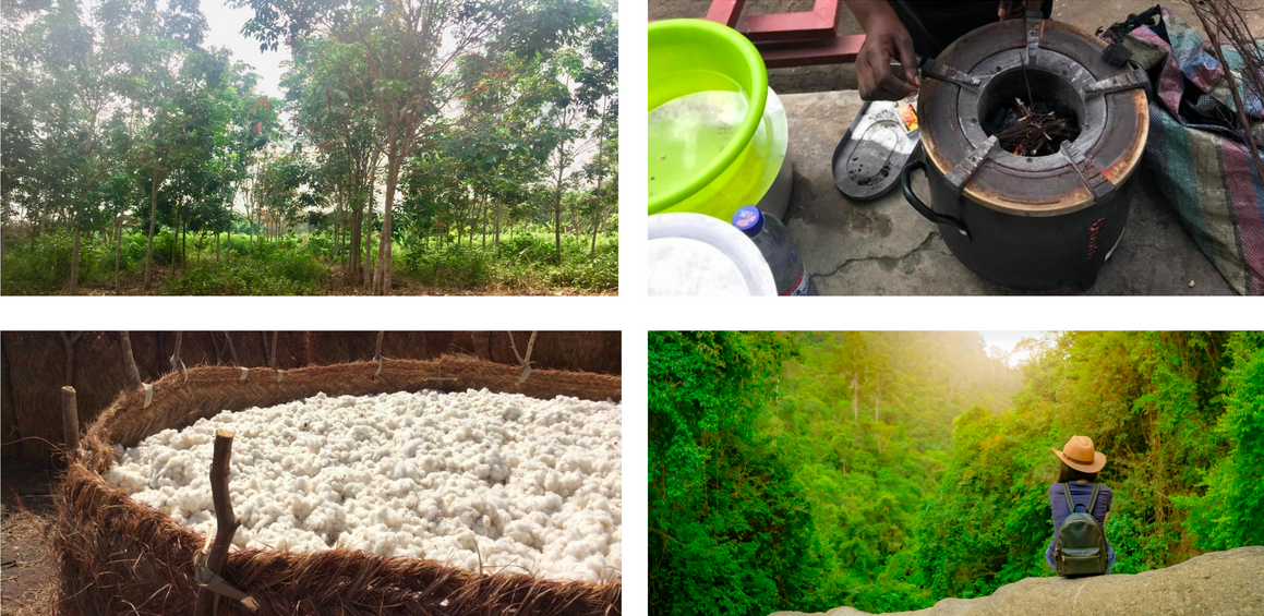 CAFI is launching a call for expressions of interest to implementing ...