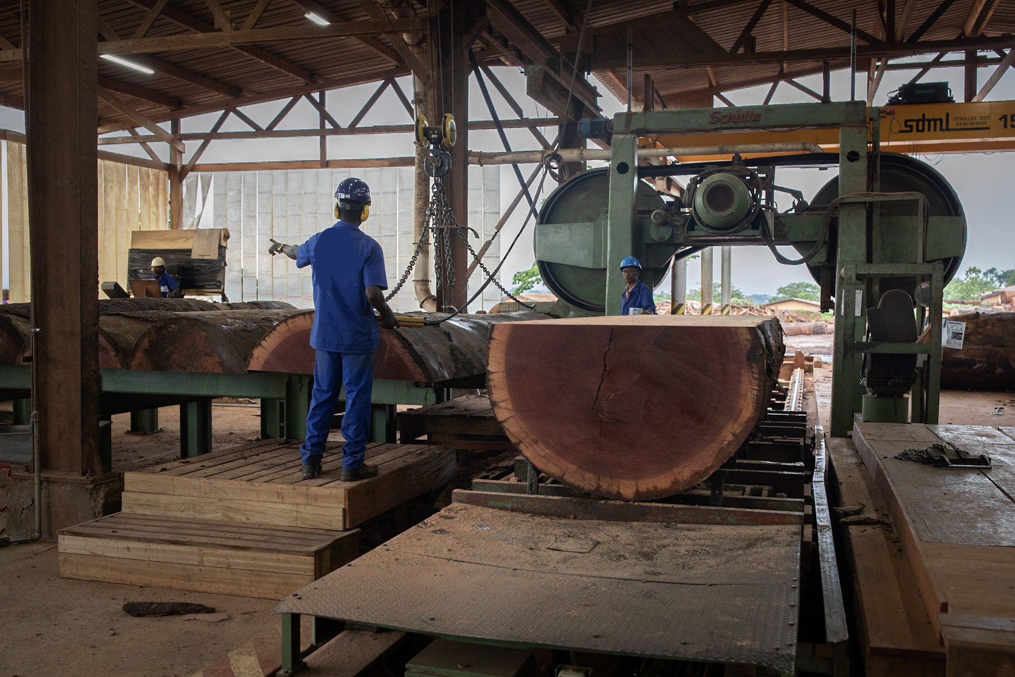 ATIBT support to the timber sector in Cameroon | ATIBT