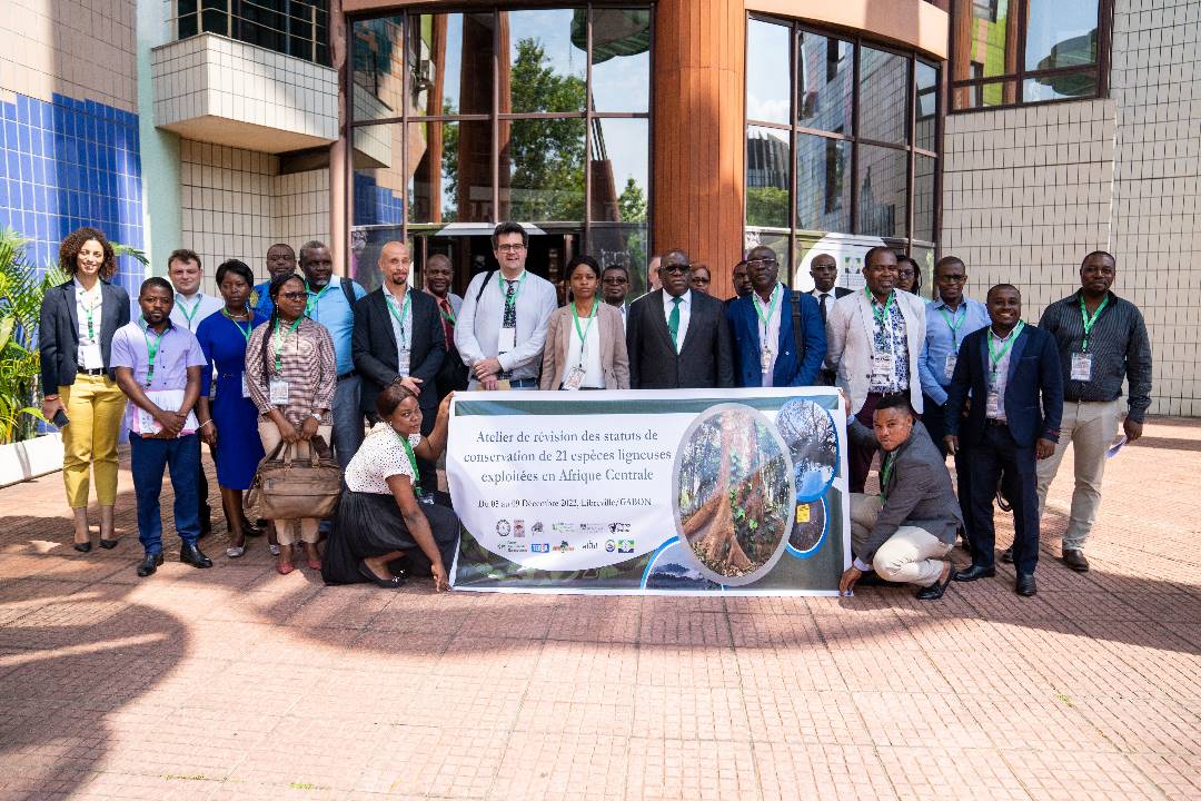 Actualisation de la liste rouge de l’UICN : 19 espèces de bois d’œuvre ...