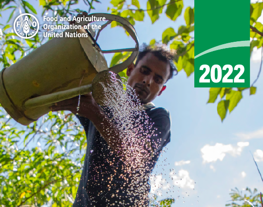 State of the World's Forests: FAO's flagship report released | ATIBT