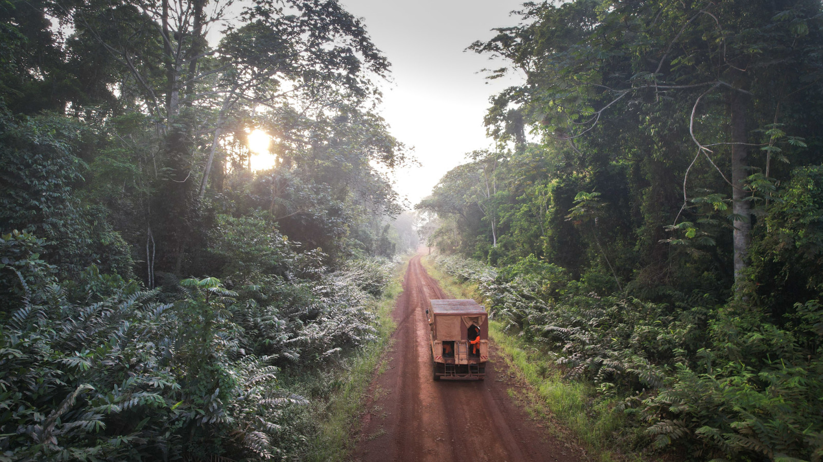 The Fair&Precious clip on sustainable tropical forest management is ...