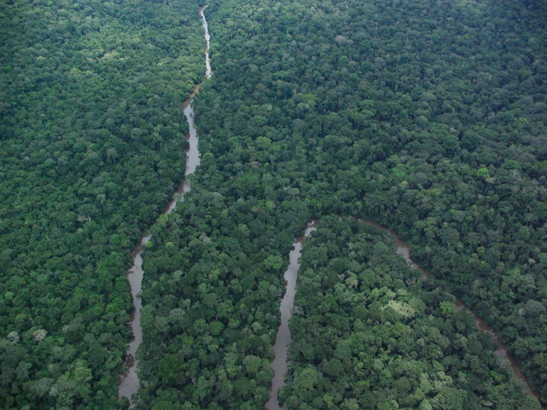 ATIBT Webinar October 28, 2020 - Plantation and agroforestry ...