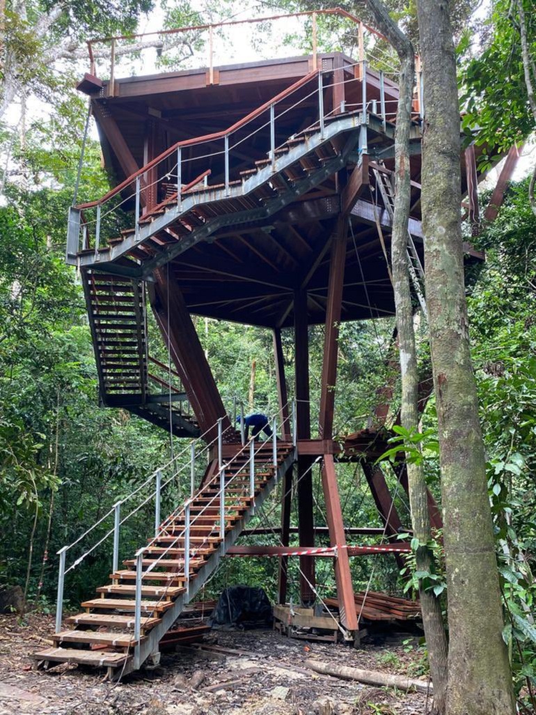 In Gabon, a classroom built in padouk in the trees! | ATIBT