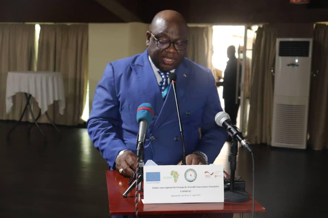 La COMIFAC relance les activités du Groupe de Travail Gouvernance ...