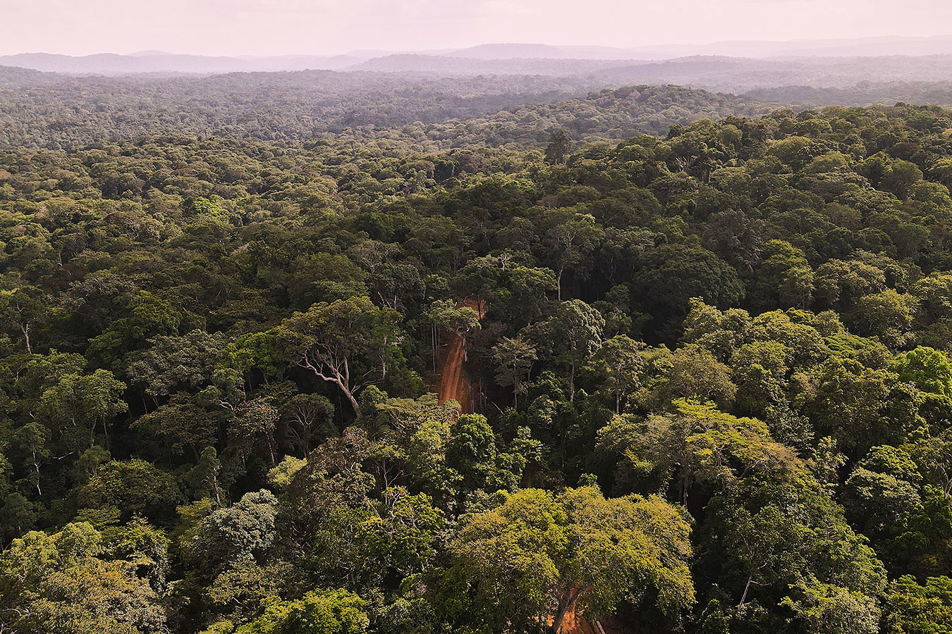 Retour sur la journée thématique « Restauration des paysages forestiers ...