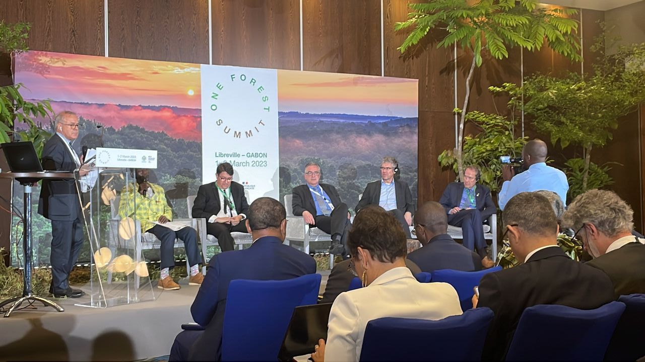 The ATIBT at the One Forest Summit on March 1st and 2nd, 2023 | ATIBT