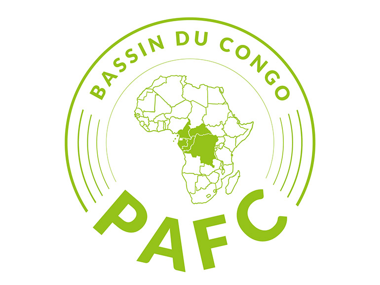 The Congo Basin PAFC is now recognized by the PEFC Council | ATIBT