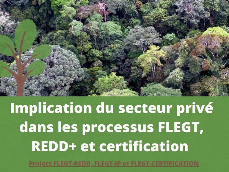 Finalization of the FLEGT REDD, FLEGT IP and FLEGT projects ATIBT ...