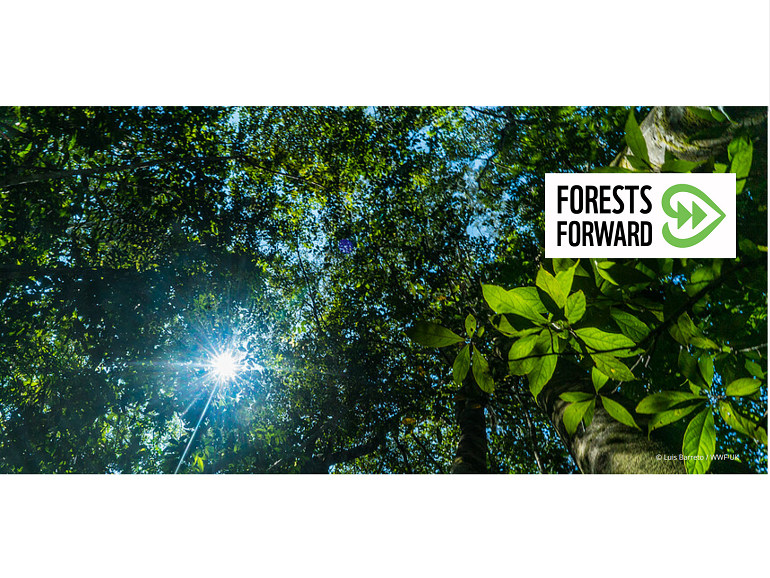 "Forests Forward" : WWF's new platform | ATIBT