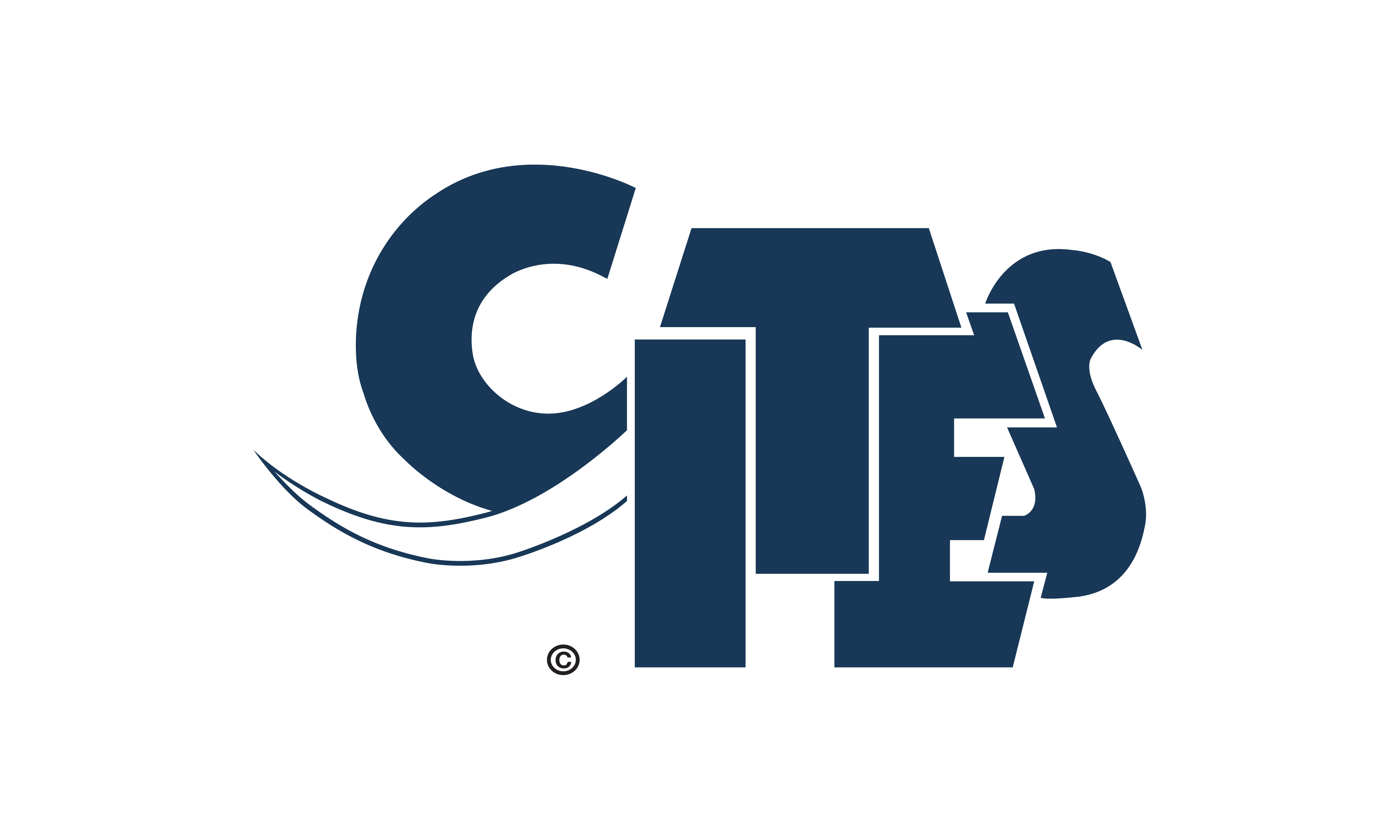 Monitoring CITES activities at ATIBT | ATIBT