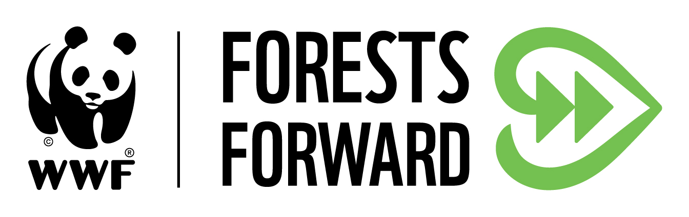 WWF présente son nouvel outil pour évaluer le risque sur le bois dans ...