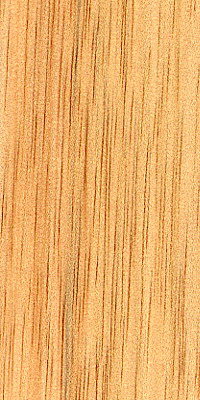 ILOMBA - Pycnanthus angolensis