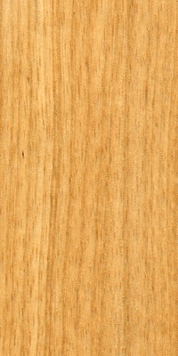 LIMBA - Terminalia superba