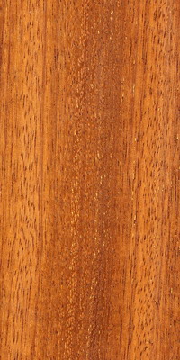 MERBAU - Intsia bijuga, Intsia palembanica