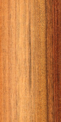 OKAN - Cylicodiscus gabunensis