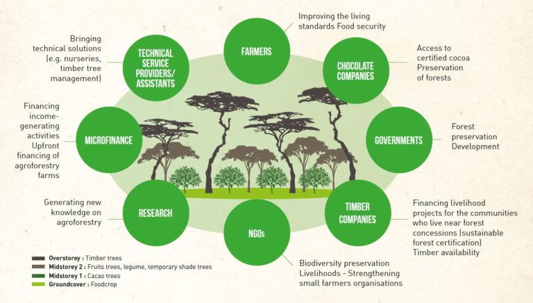 Opportunities identified to test and develop an agroforestry system ...